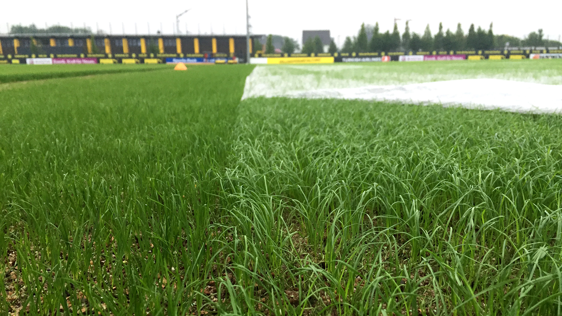 Evergreen Turf Cover - heiler Sportplatzbau